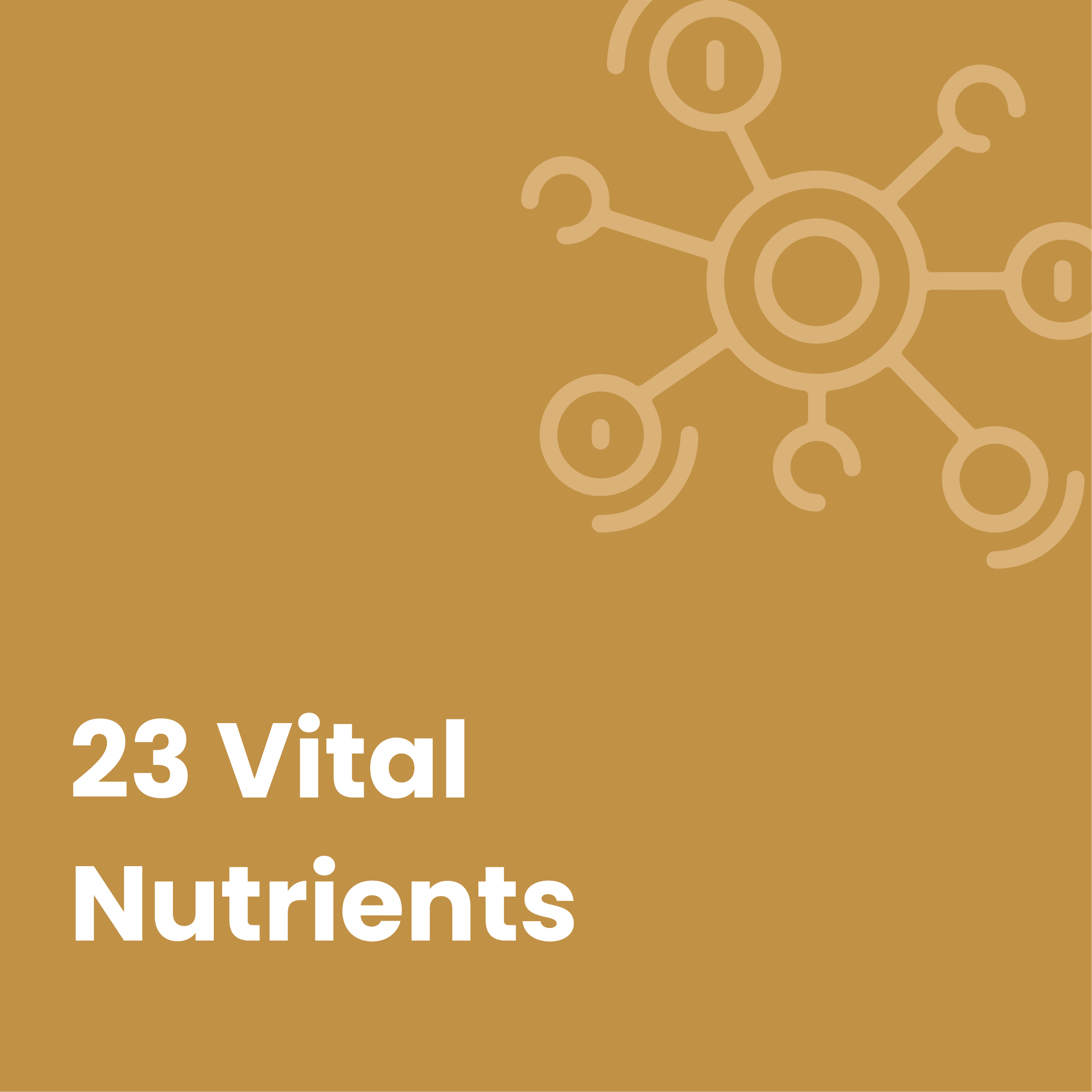 Tata 1mg Protein+ High Protein Supplement Powder | Daily Protein ...