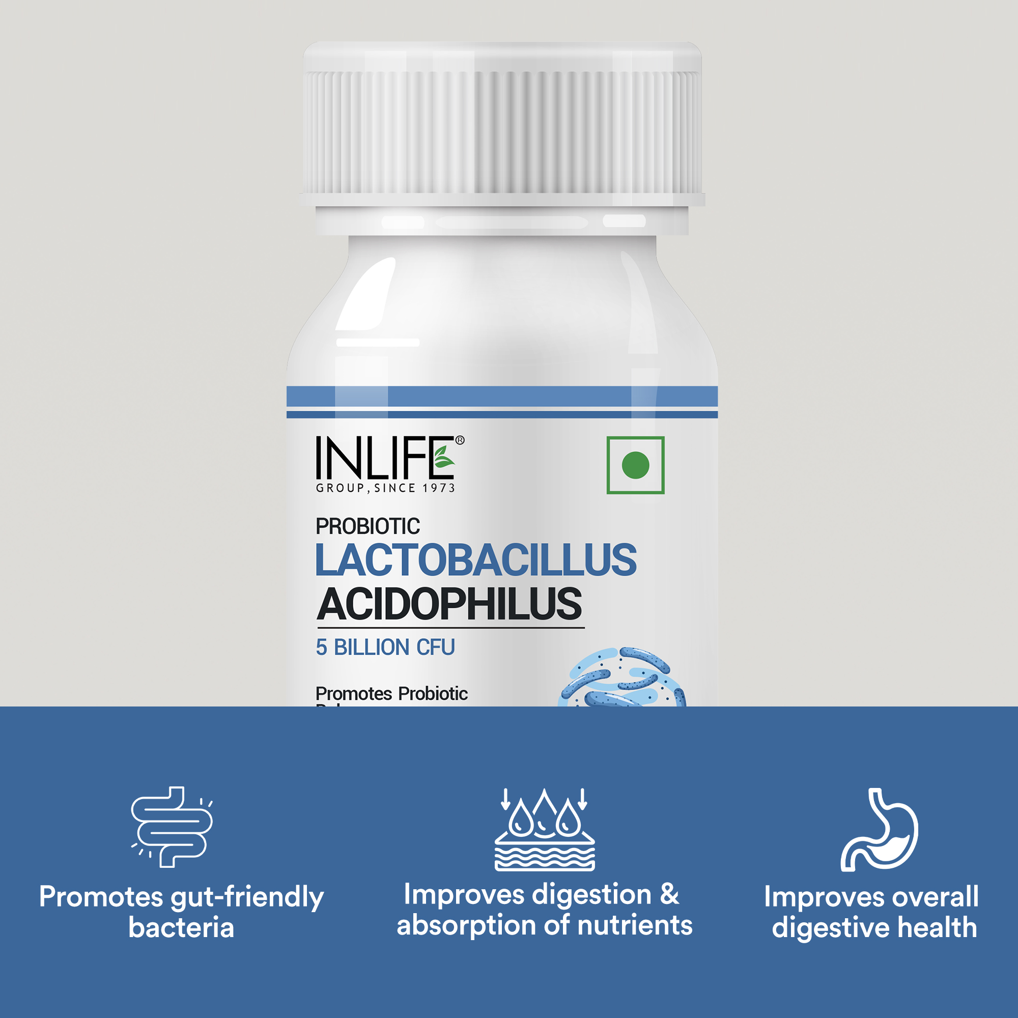 Placa De Lactobacillus Acidophilus New Names For Important Probiotic